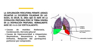 Semiologia sistema respiratorio en medicina.pptx