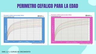 Semiologia Sistema nervioso central y aparato locomotor.pptx