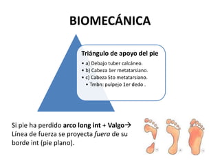 Semiologia tobilllo y pie | PPTX