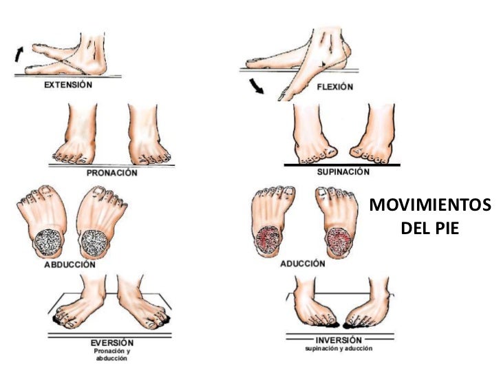Semiologia tobilllo y pie