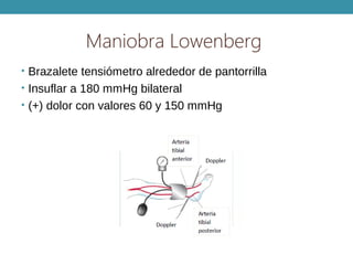Semiologia vascular y pruebas diagnosticas | PPT