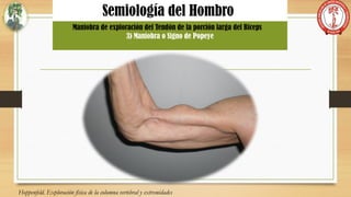 semiologia y biomecanica del hombro.pptx
