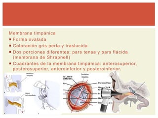 Semiologia y exploracion de oido | PPTX