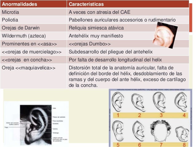 Semiologia y exploracion de oido