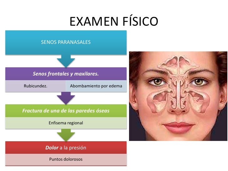 Semiologia y radiologia de senos paranasales