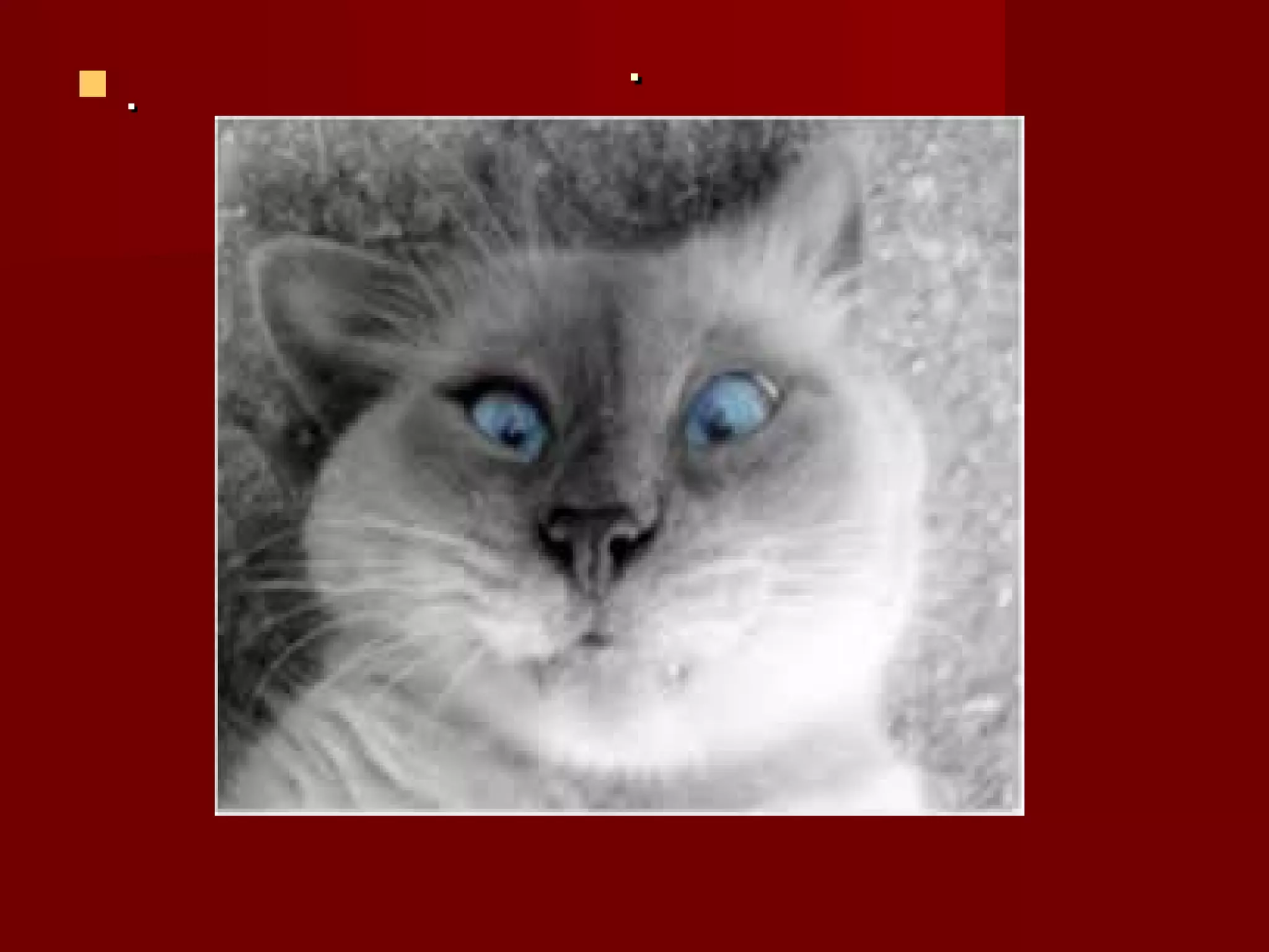 Semio Neurologica | PPT