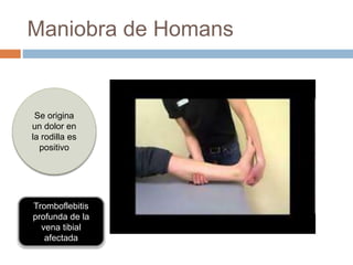 Semiologia circulatoria | PPTX
