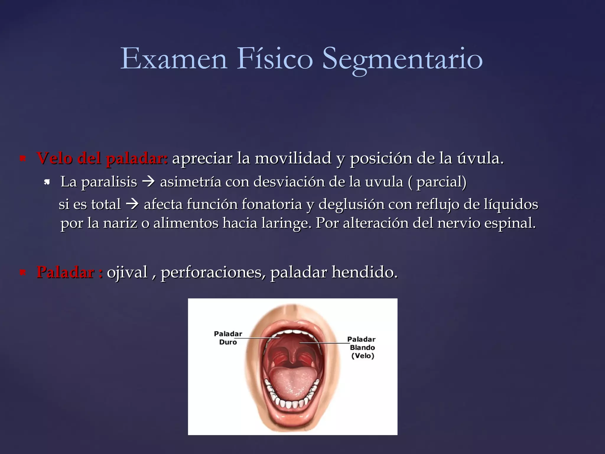 Semiologia De Orofaringe Ppt