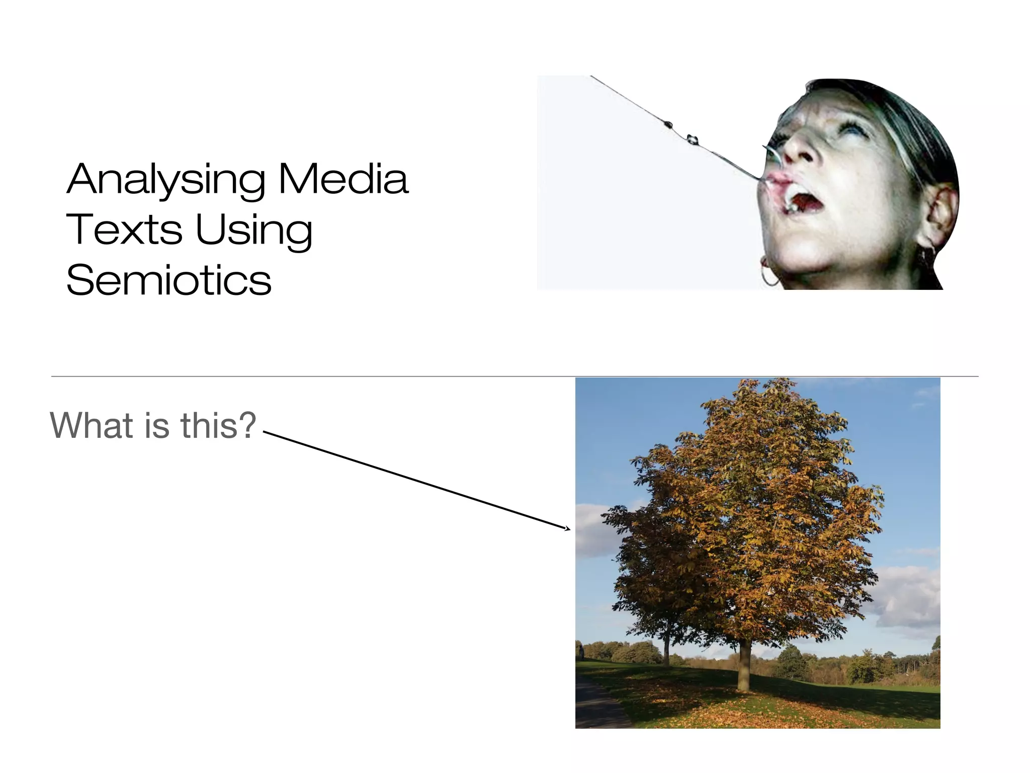 Semiotics and Logo Designs | PPT