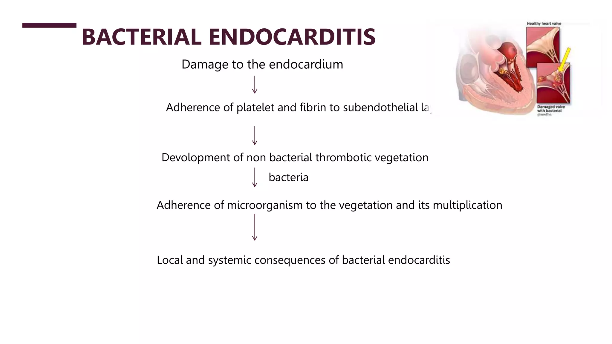 PROSTHODONTIC CONSIDERATIONS OF SYSTEMIC DISEASES | PPTX