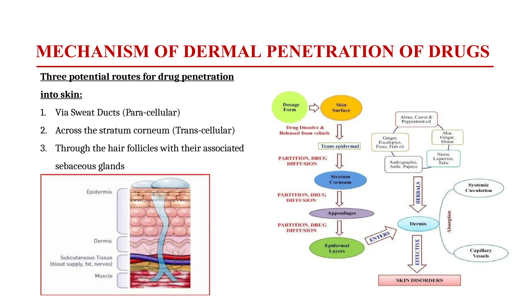 Sem-solid dosage form, mechanism, types, preparation of creams, gel ...