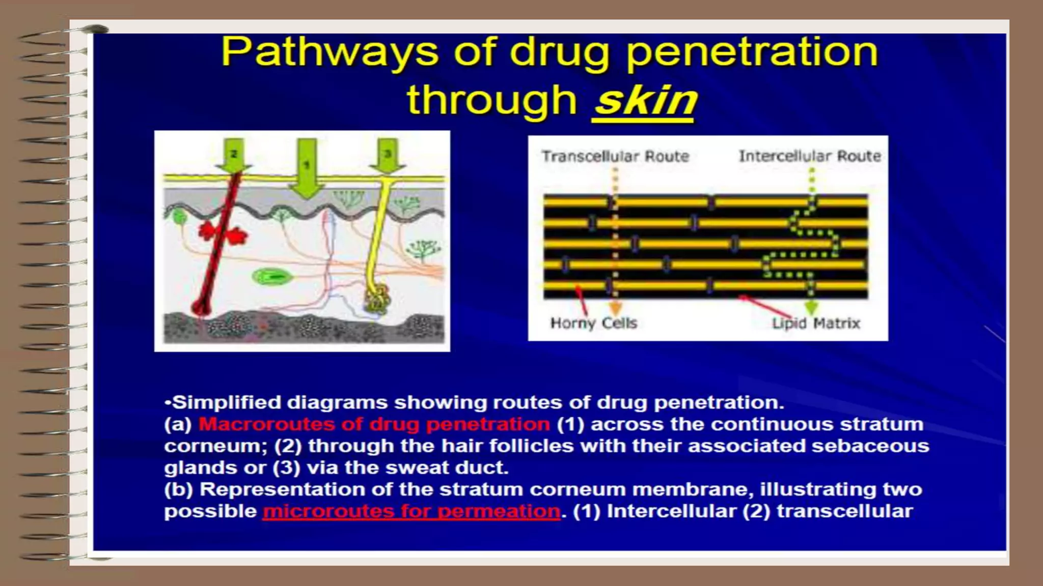 Semisolid_Dosage_Forms_SCU_2016.pptx