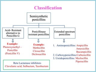 Semisynthetic Penicillins | PPT
