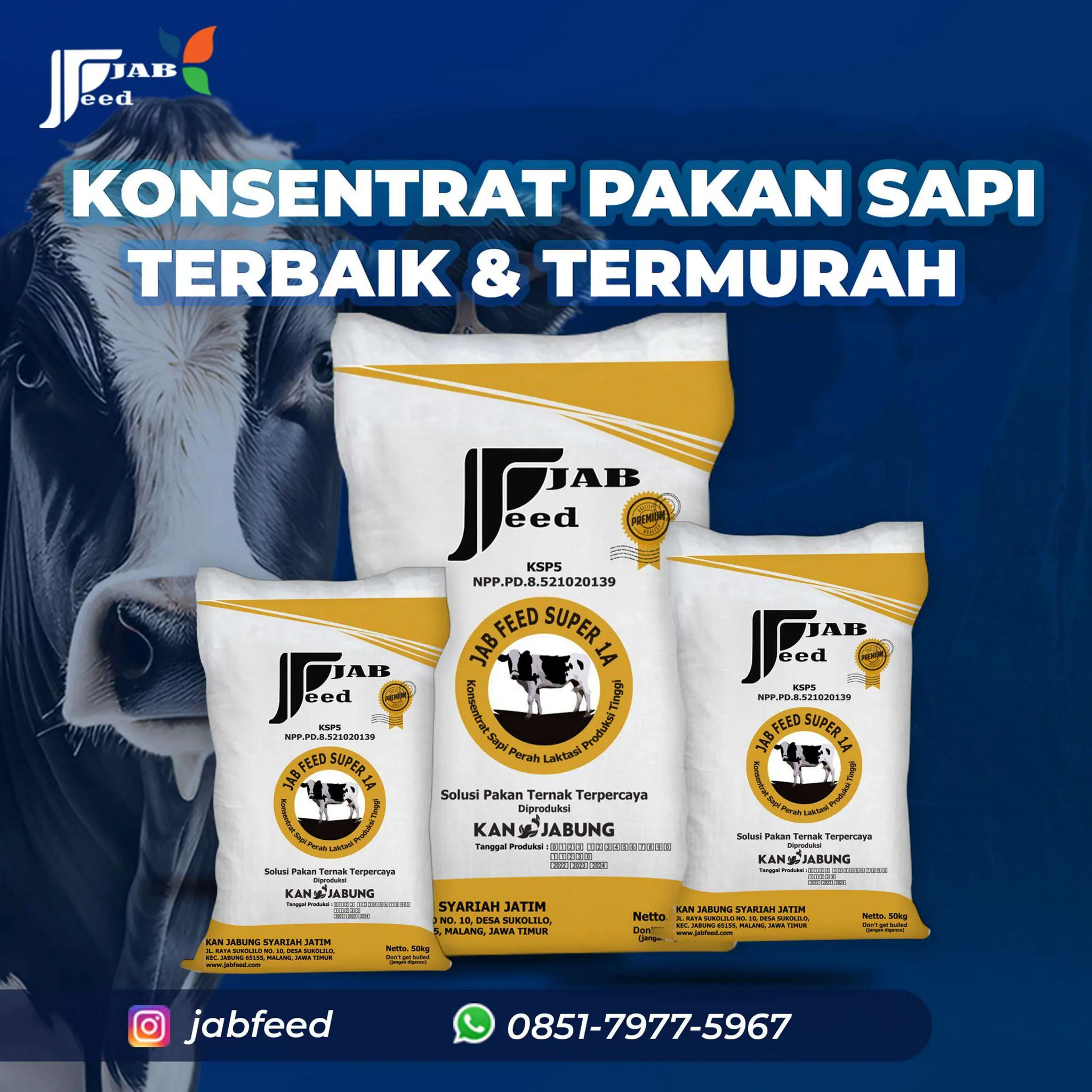 Konsentrat Sapi Terbaik & Termurah Jawa Timur | PDF