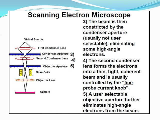 Scanning electron microscopy | PPTX | Chemistry | Science