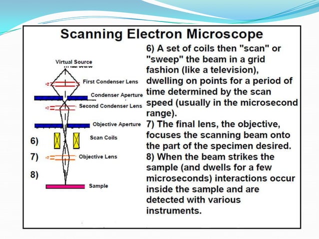 Scanning electron microscopy | PPTX | Chemistry | Science