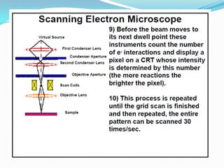 Scanning electron microscopy | PPTX