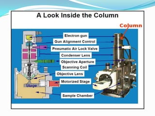Scanning Electron Microscope Parts