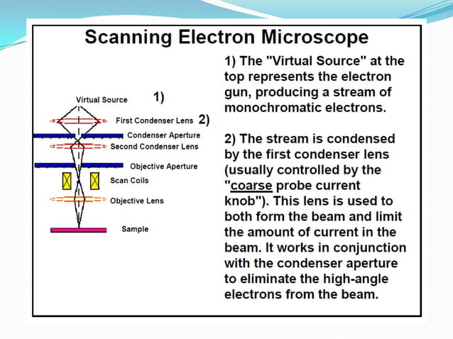 Scanning electron microscopy | PPT