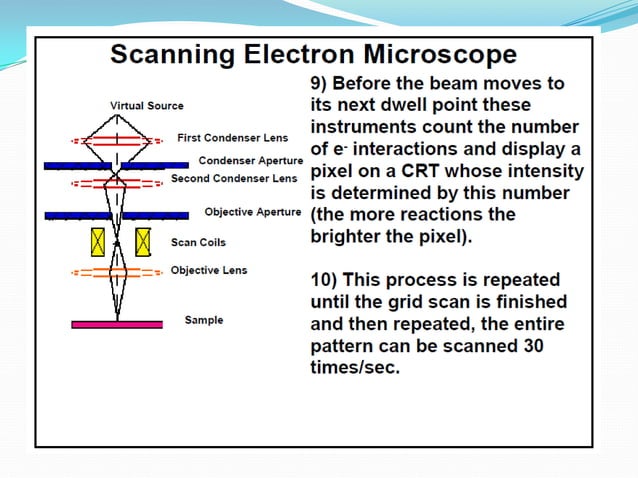Scanning electron microscopy | PPT