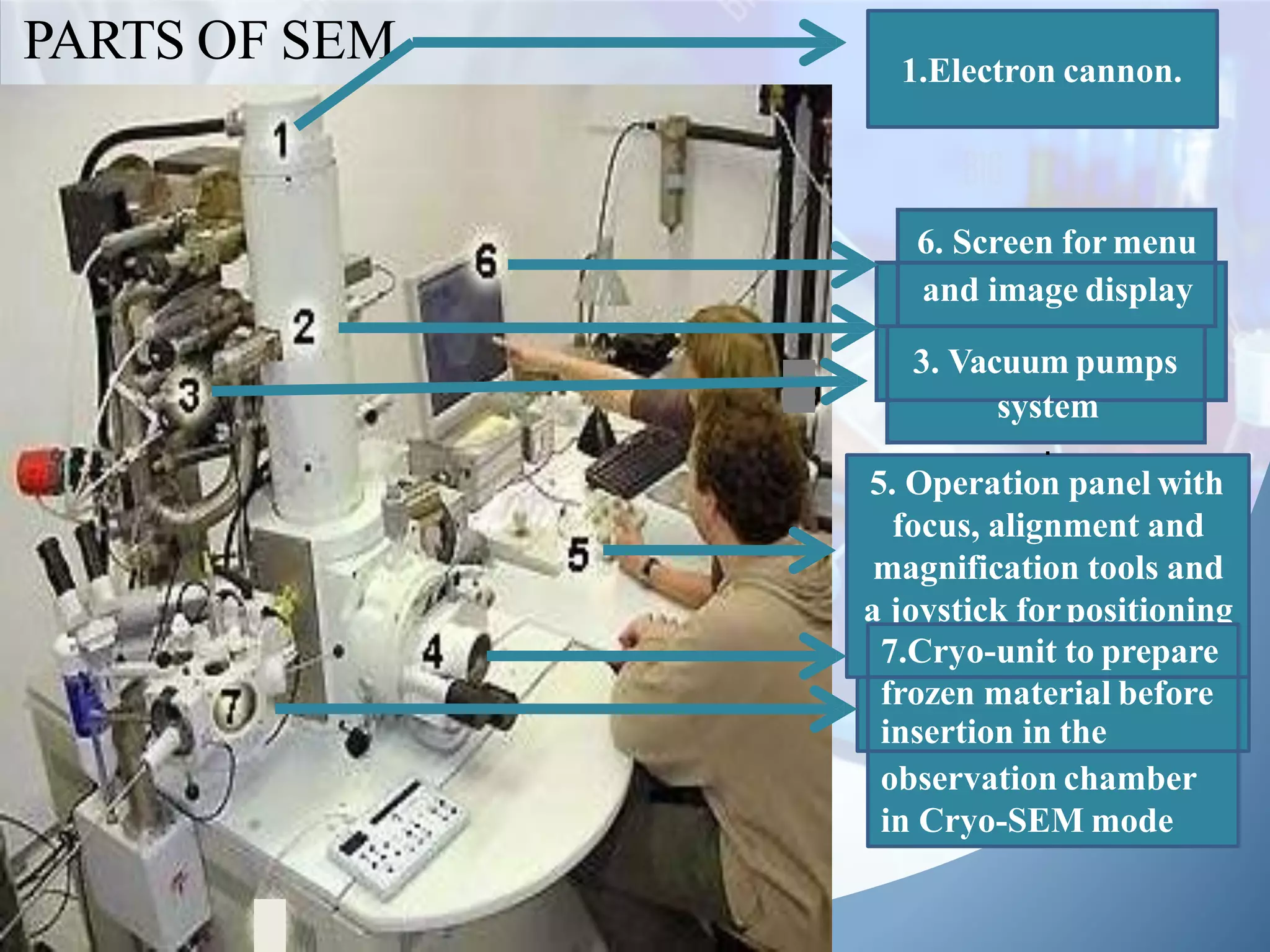 Scanning Electron Microscopy (SEM) | PDF | Geology | Science