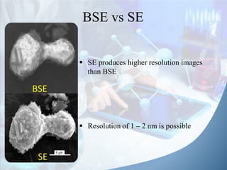 Scanning Electron Microscopy (SEM) | PDF | Geology | Science