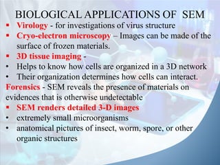 Scanning Electron Microscopy (SEM) | PDF | Geology | Science