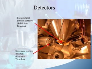 Scanning Electron Microscopy (SEM) | PDF | Geology | Science