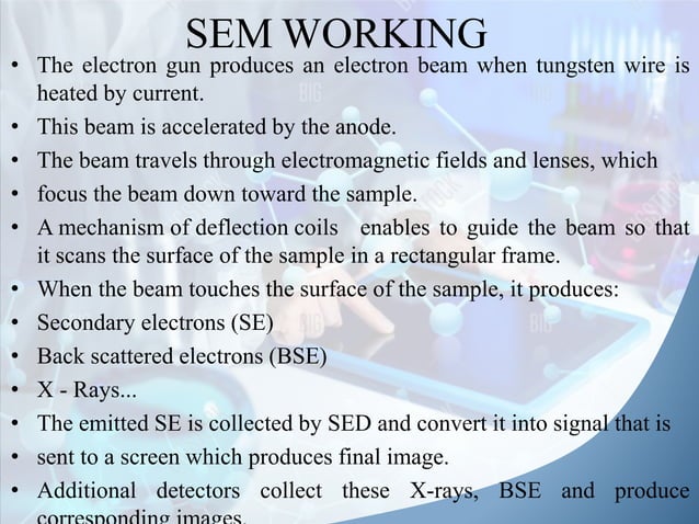 Scanning Electron Microscopy (SEM) | PDF | Geology | Science