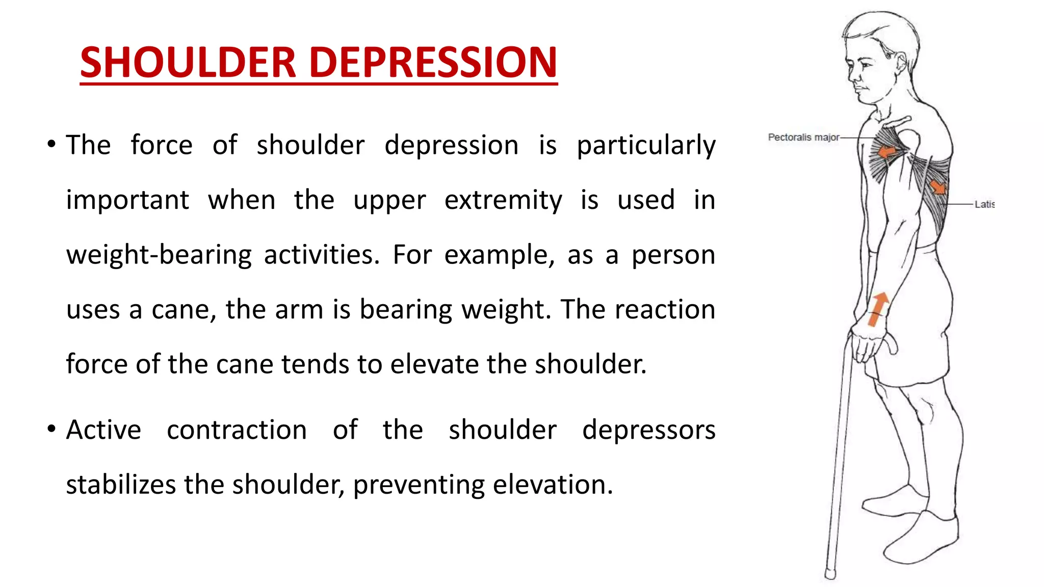 Pathomechanics of Glenohumeral joint | PPTX