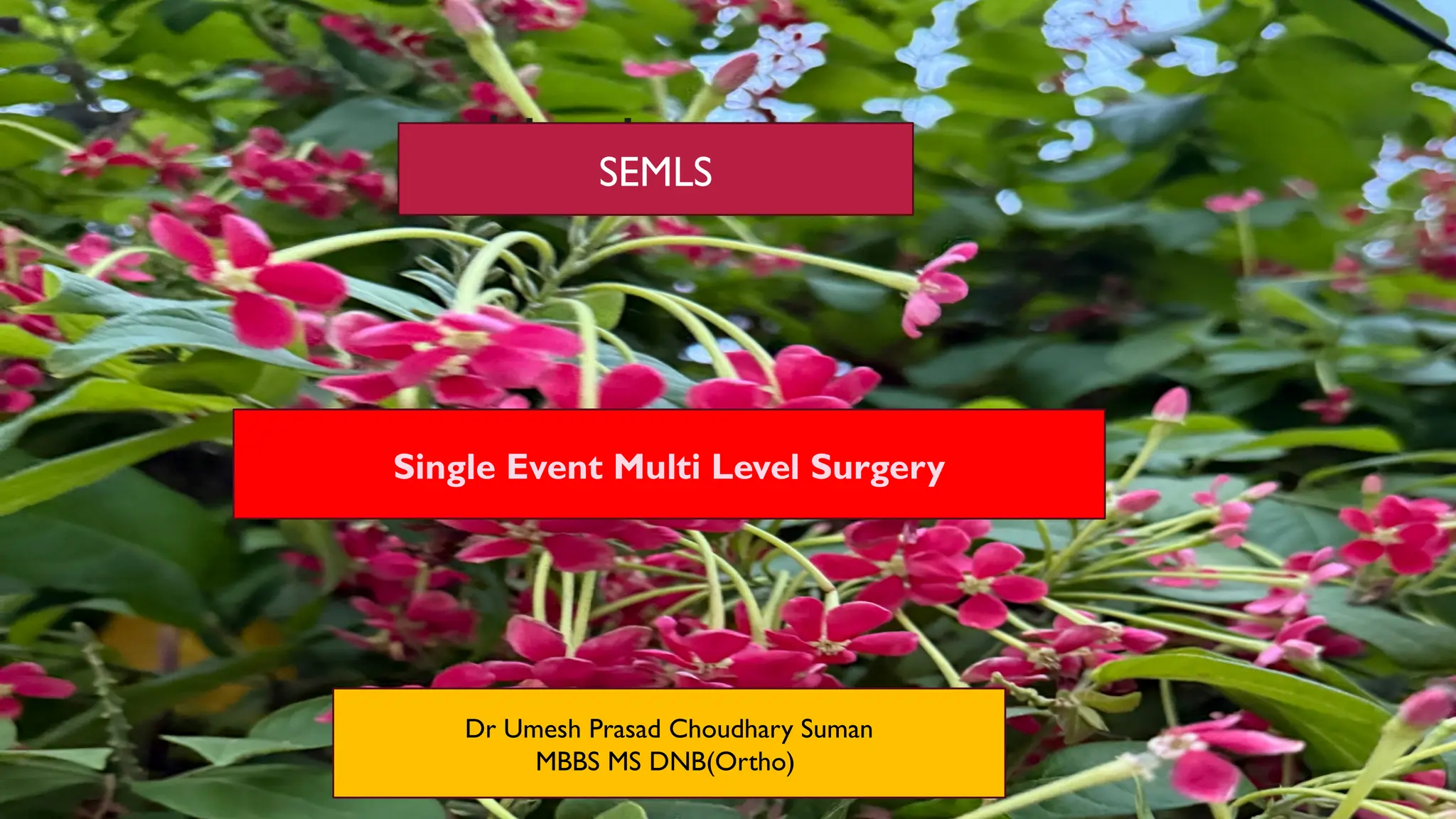Single Event Multi Level Surgery for Cerebral Palsy | PPTX