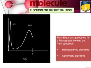 WORKING OF SEM: SCANNING ELECTRON MICROSCOPE | PPT