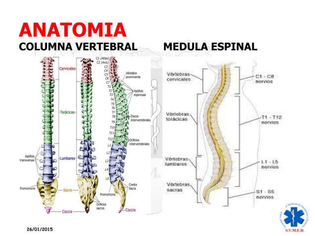 TRAUMA RAQUIMEDULAR. GENERALIDADES Y MANEJO DEL PACIENTE