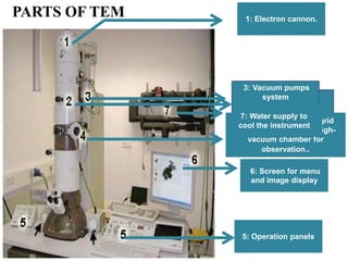 Sem n tem | PPTX | Chemistry | Science