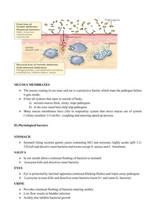 SEM ONE innate immunity and it's types msc | DOCX