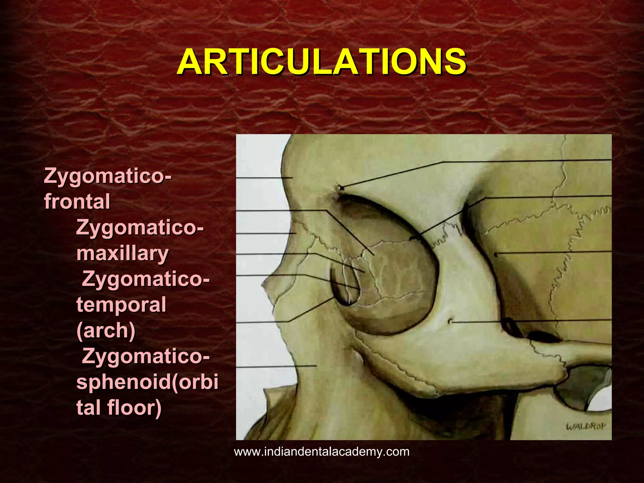 ZYGOMATIC COMPLEX FRACTURE | PPT