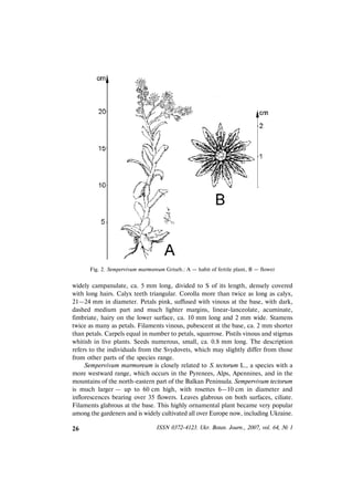 Sempervivum marmoreum | PDF