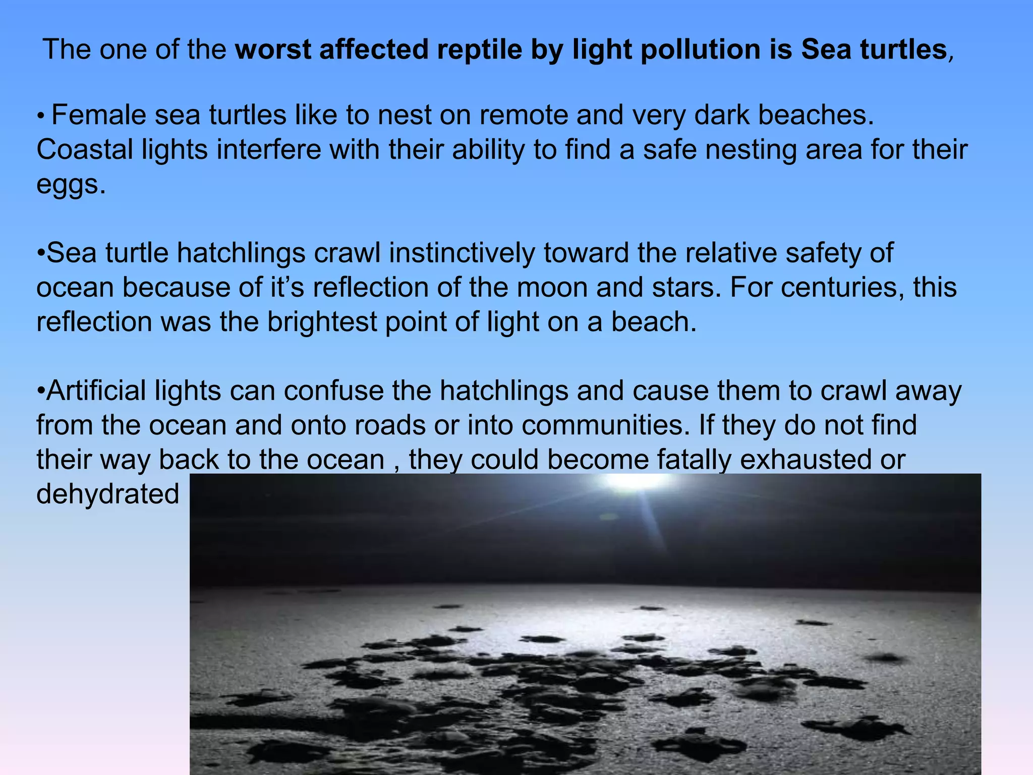 Light pollution:A detailed study on effects of Artificial Lights At ...