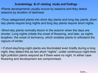 Light pollution:A detailed study on effects of Artificial Lights At ...