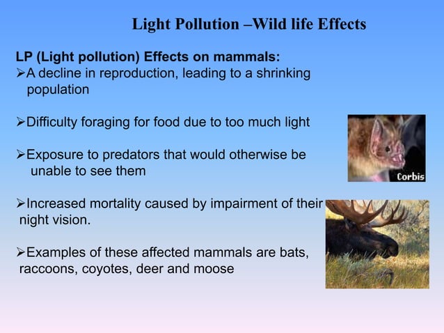 Light pollution:A detailed study on effects of Artificial Lights At ...