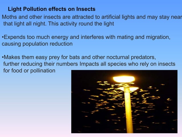 Light pollution:A detailed study on effects of Artificial Lights At ...