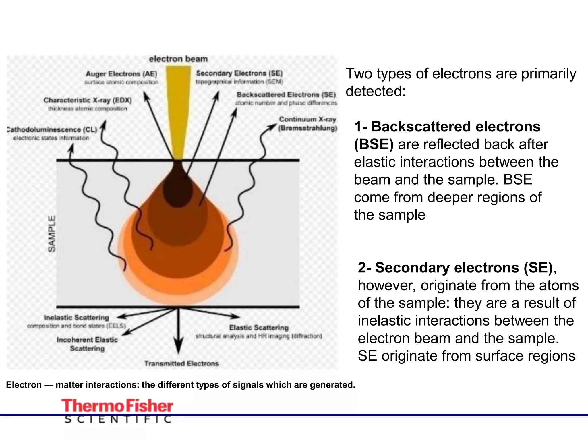 Sem presentation | PPT