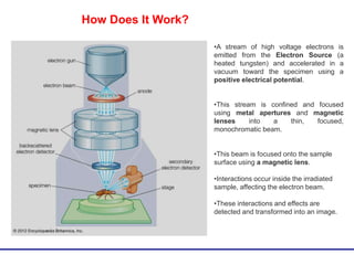 Sem presentation | PPT | Physics | Science