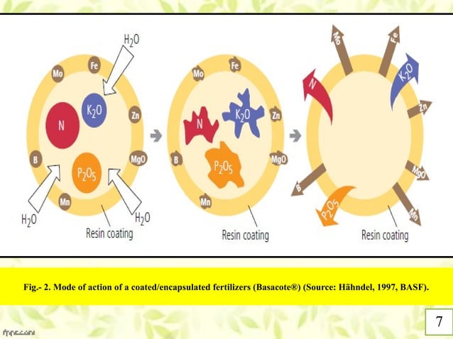 slow release fertilizer in crop production | PPT | Chemistry | Science