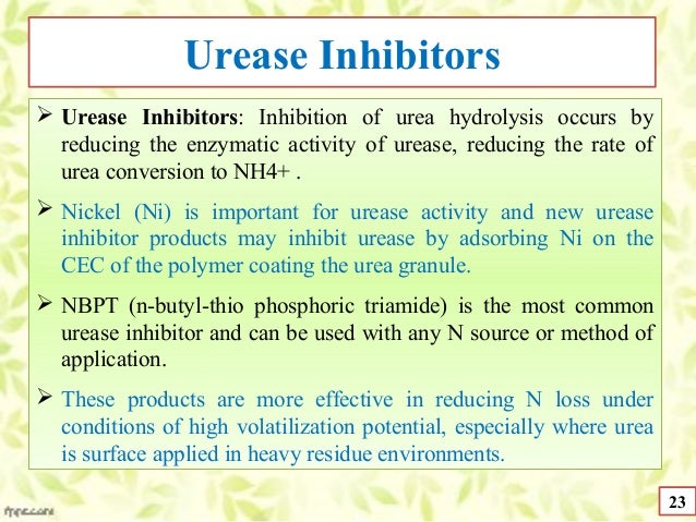 slow release fertilizer in crop production