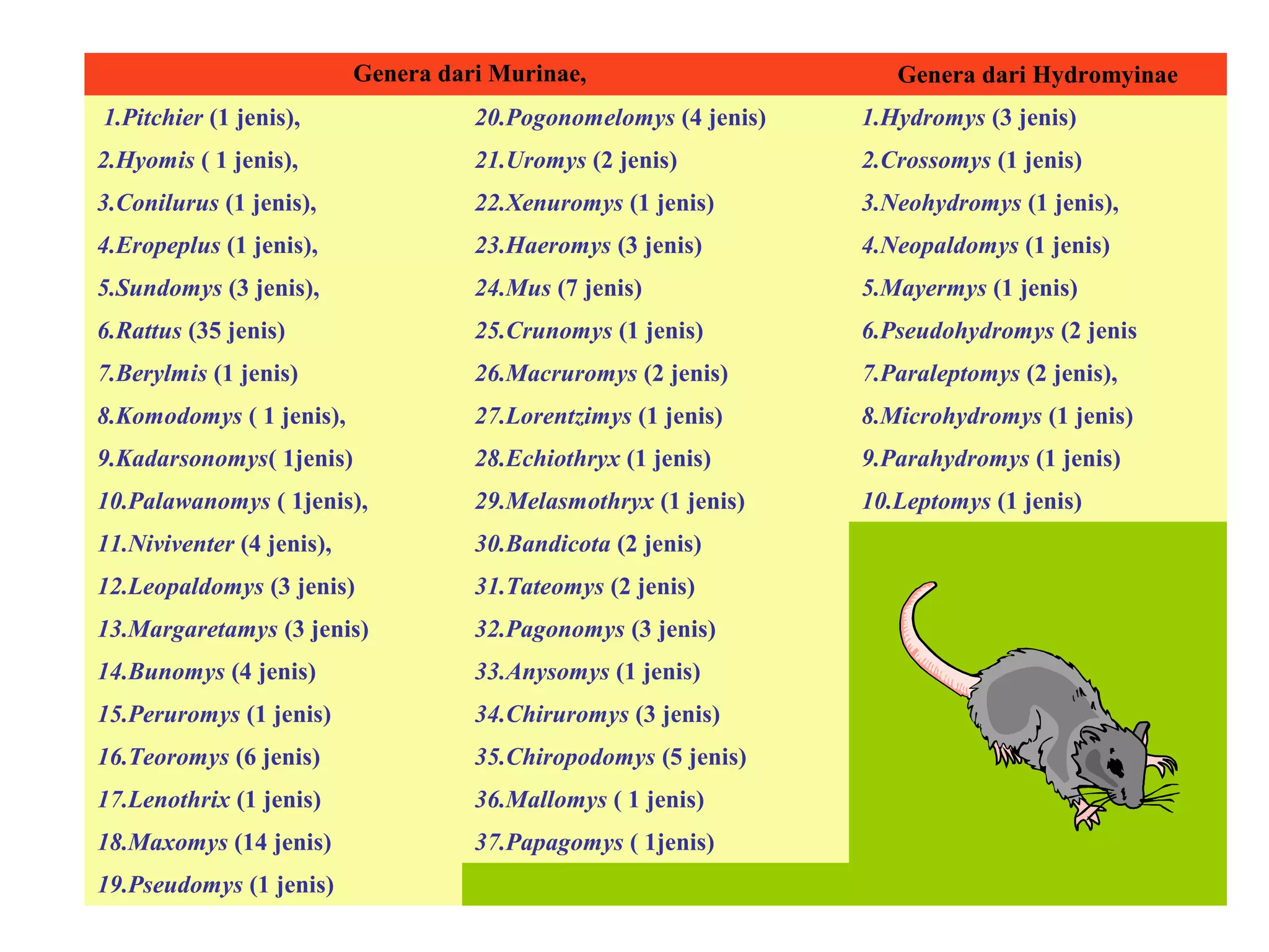 Semt 3 tikus 1 | PPT