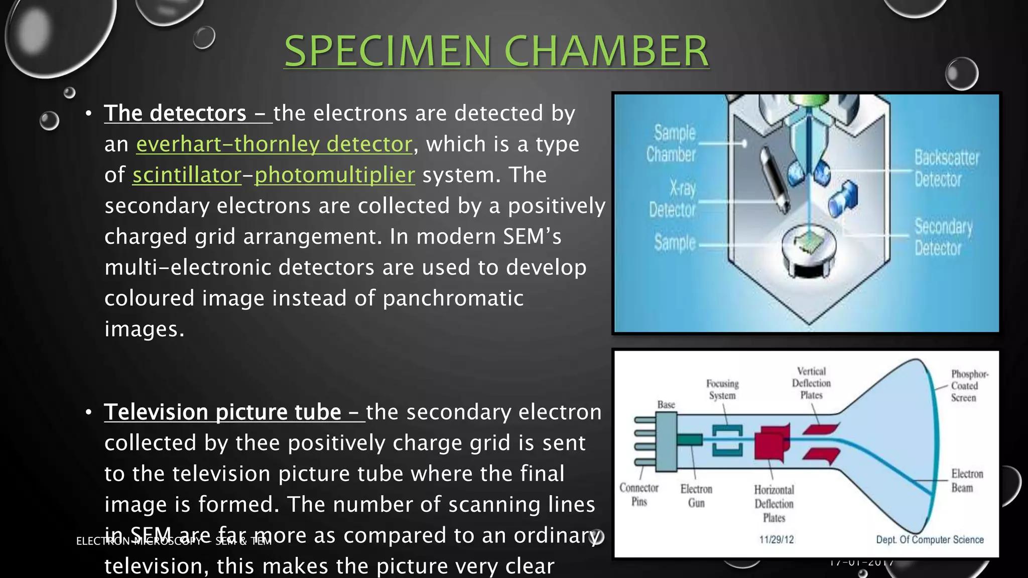 Electron Microscopy - Scanning electron microscope, Transmission Electron Microscope | PPT