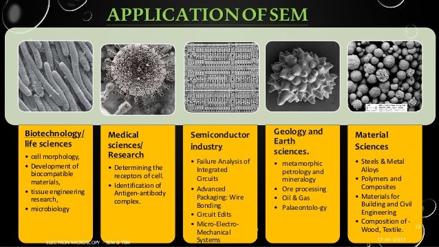 Different Types Of Electron Microscopy