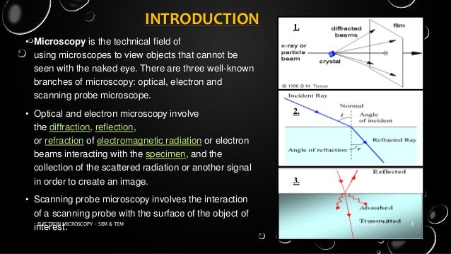 Average cost of transmission electron microscope - minedt