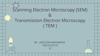 Scanning Electron Microscopy (SEM) & Transmission Electron Microscopy (TEM) | PPT